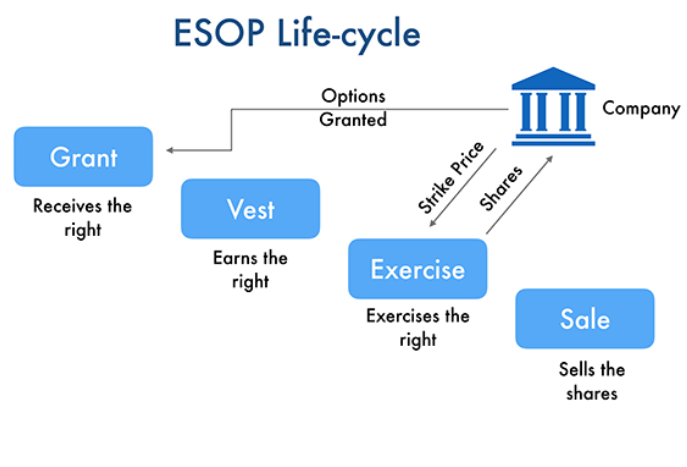 ESOPs 101: How Do They Work & How They Can Benefit You?